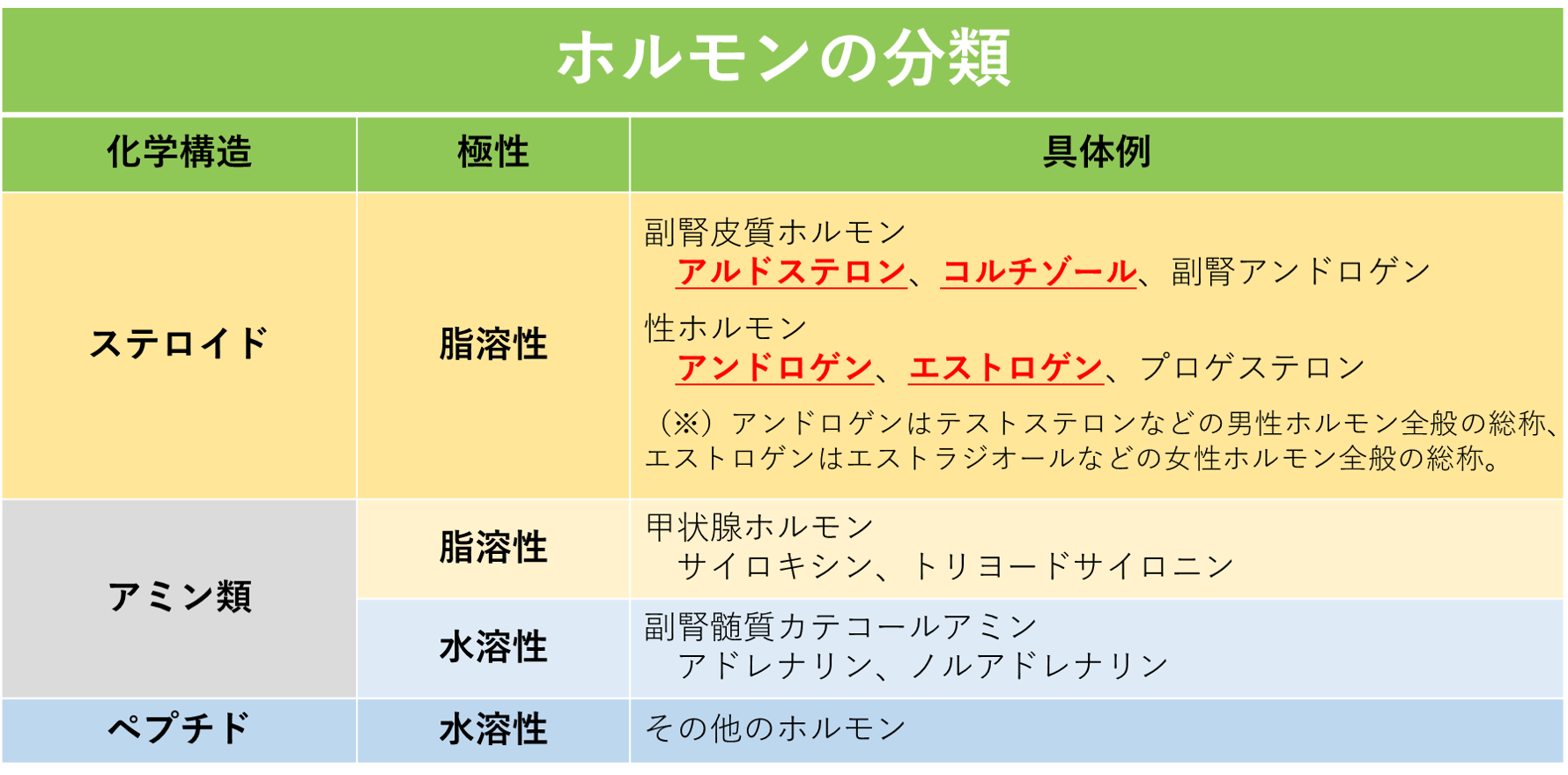 ステロイドホルモンとは～ドーピングになるの？～ | ブログ｜渋谷神泉こころのクリニック｜精神科･心療内科